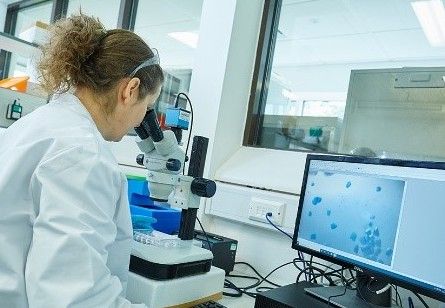 X-ray Crystallography Services | Structural Biology | Domainex